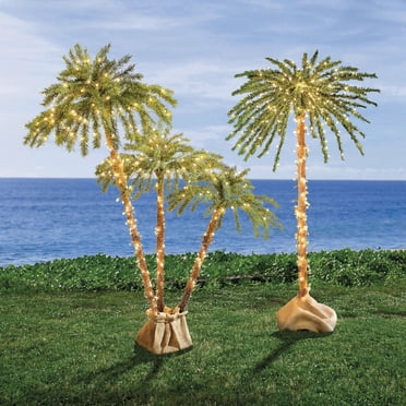 Wintergreen 5 Ft. Multi-Function LED Palm Tree, Indoor/Outdoor Use ...