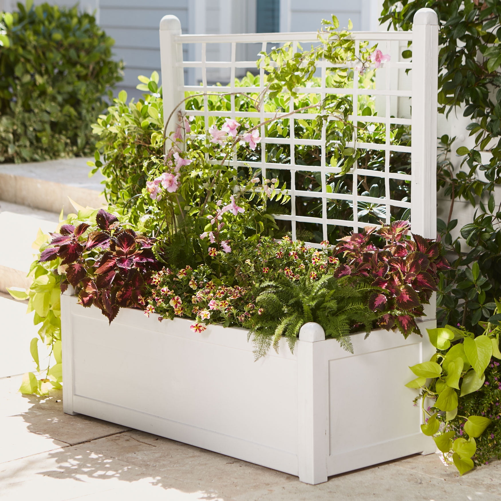 BrylaneHome Garden Lattice Freestanding Climbing Flower Plant Box with ...