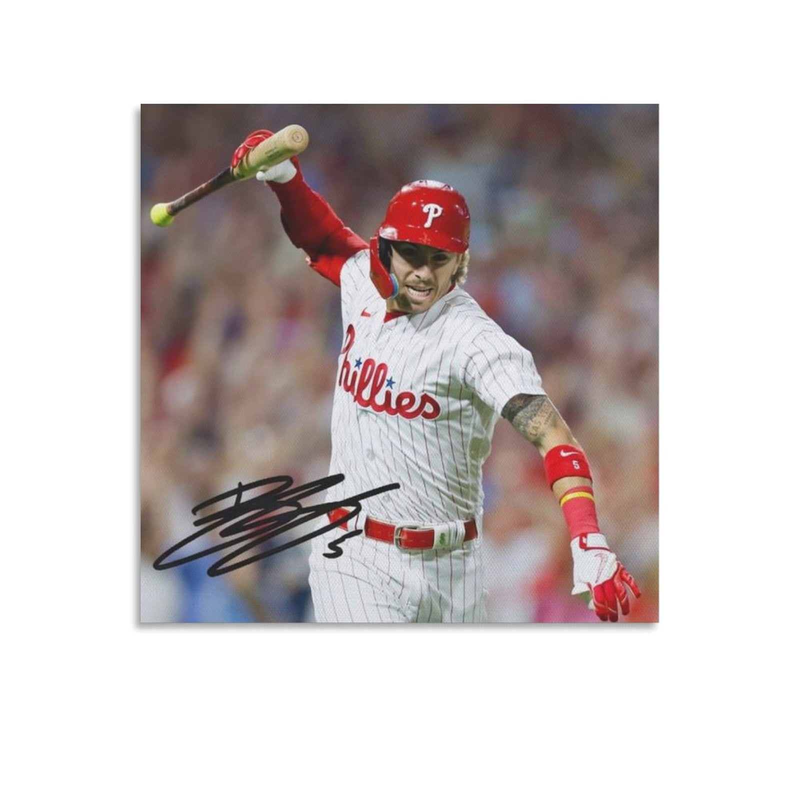 Bryson Stott Canvas Poster Painting On Canvas Wall Art Poster Scroll ...