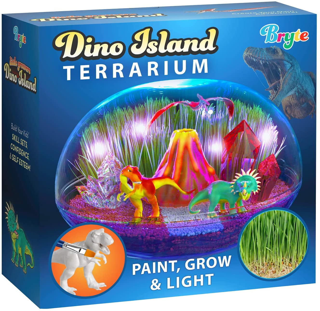 Bryte Dino Island Terrarium Kit: DIY, Grow, LED Lights, Paintable ...