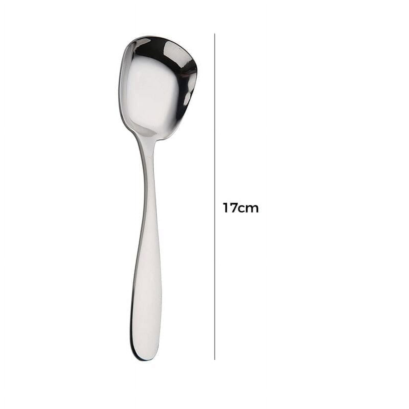 Btomtd 5pcs Stainless Steel Spoons with Flat Bottom for Dessert and ...
