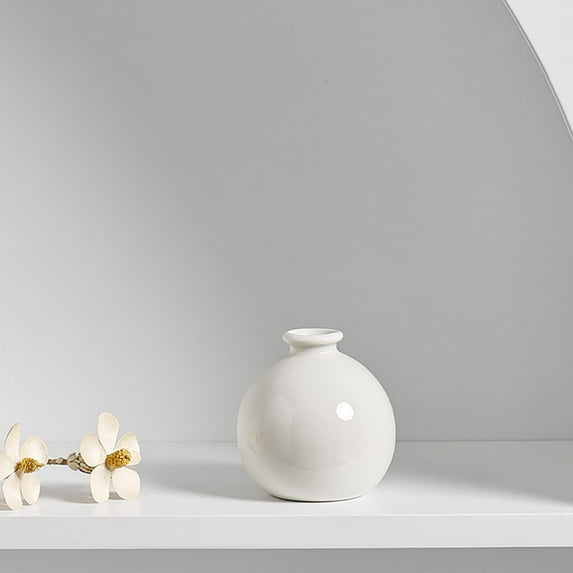 Btomtd Mini Hydroponic Vase for Flowers and Home Decor, Living Room and ...