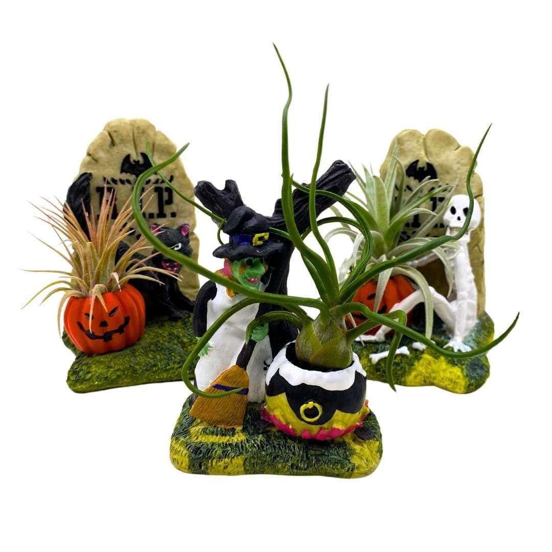 BubbleBlooms Halloween Air Plant Resin Art Sculpture Hand Made Set of 3 ...