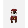 Buc-ees 32 oz Beaver Red and Brown Straw Sipper Drink Tumbler - Walmart.com