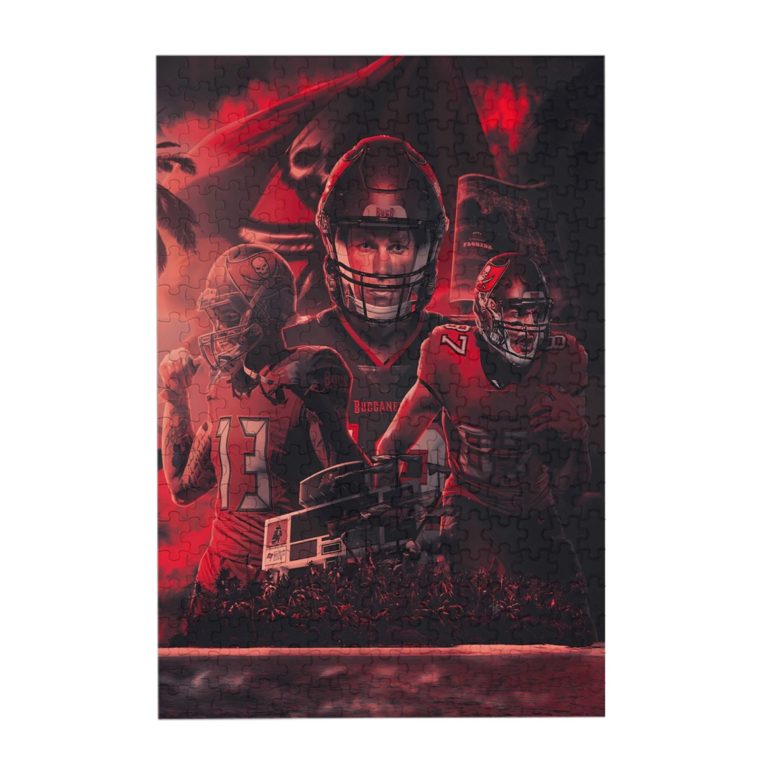 Buccaneers Football Team Theme Jigsaw Puzzle Adult Jigsaw Puzzle ...