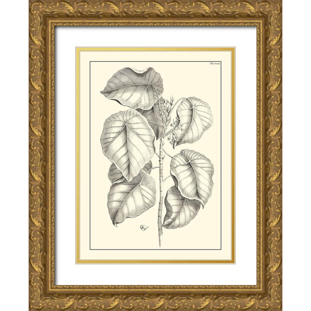 Buchoz, Pierre Josep 11x14 Gold Ornate Wood Framed with Double Matting ...
