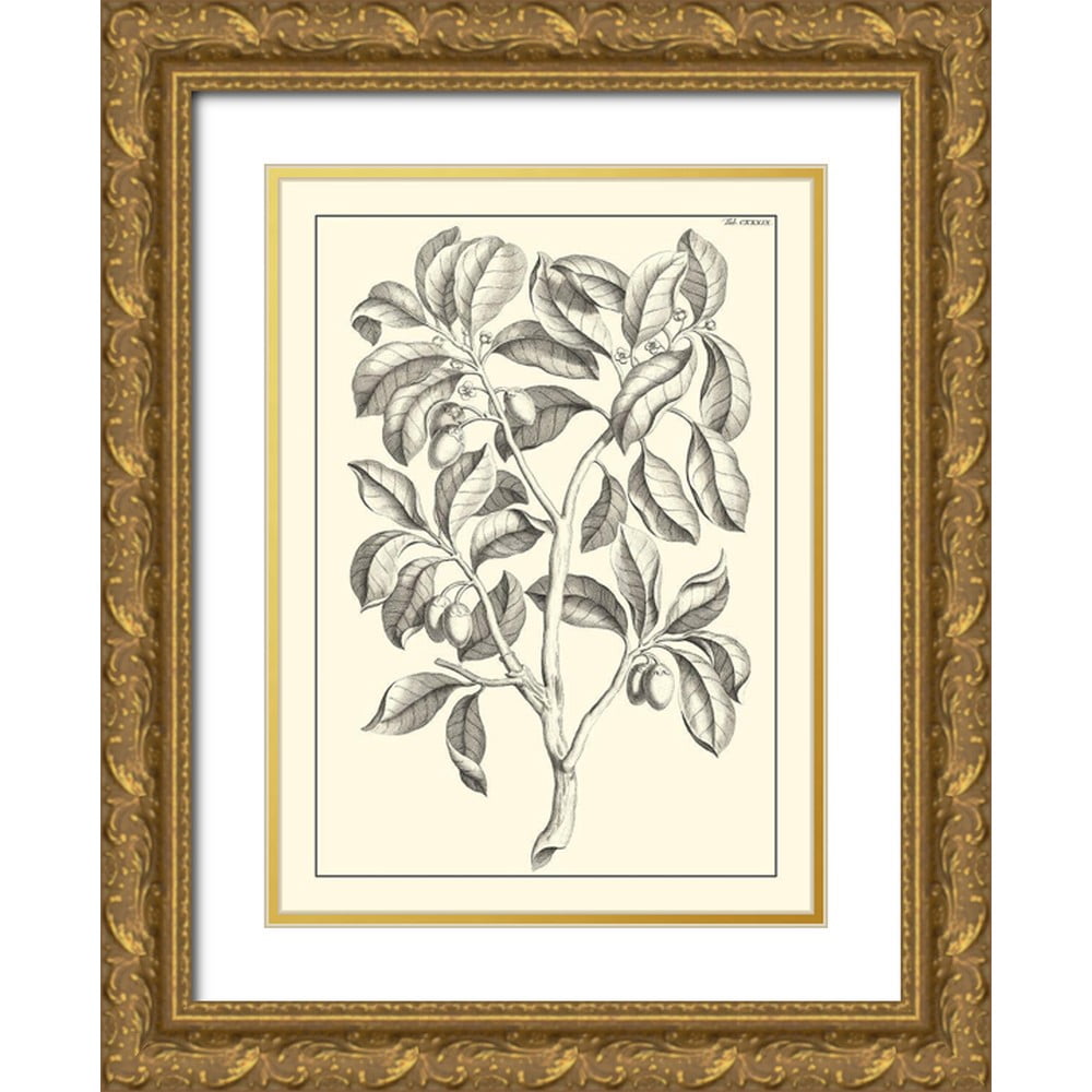 Buchoz, Pierre Josep 14x18 Gold Ornate Wood Framed with Double Matting ...