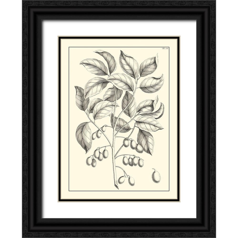 Buchoz, Pierre Josep 24x32 Black Ornate Wood Framed with Double Matting ...