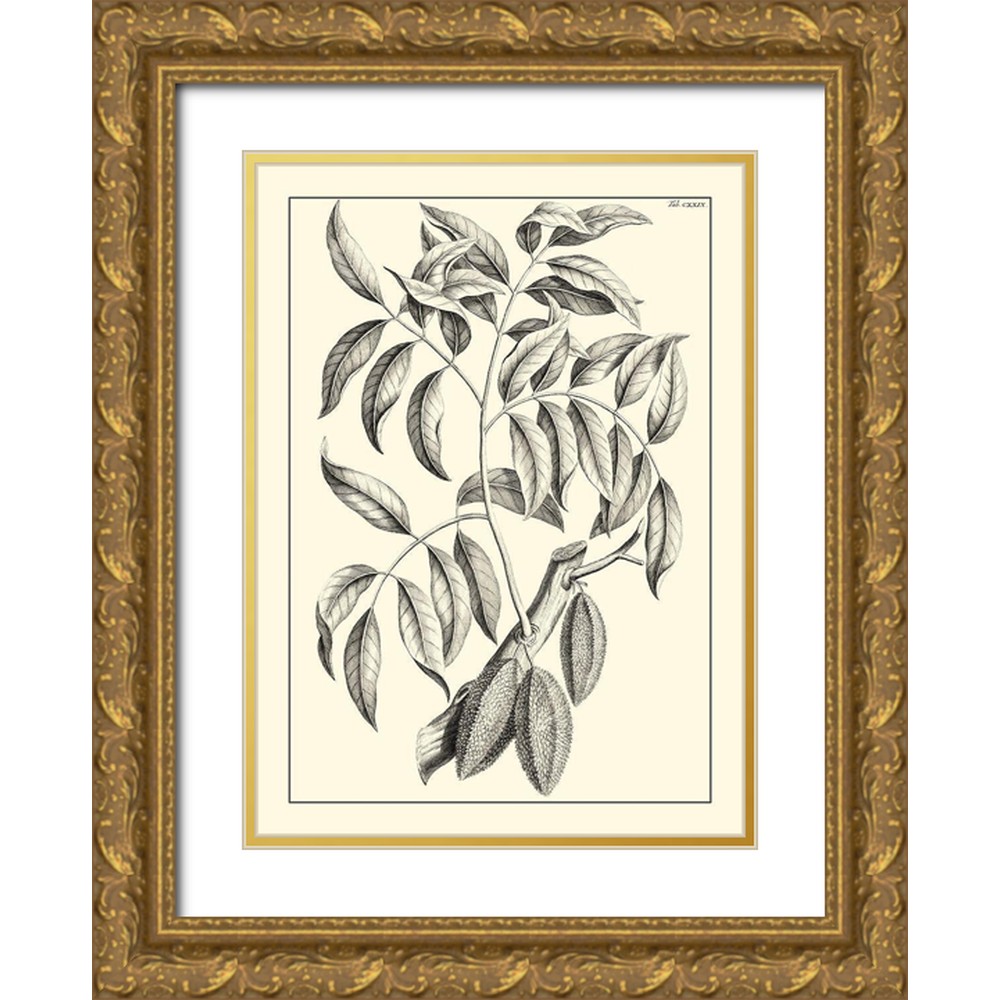 Buchoz, Pierre Josep 24x32 Gold Ornate Wood Framed with Double Matting ...