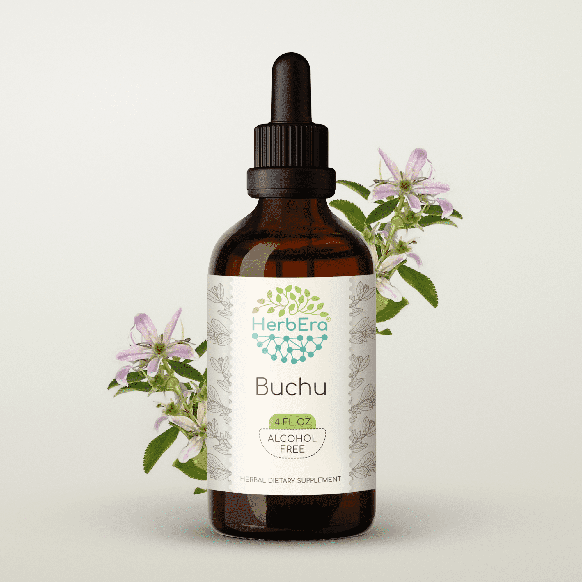 Buchu Alcohol-FREE Herbal Extract Tincture, Super-Concentrated Buchu ...