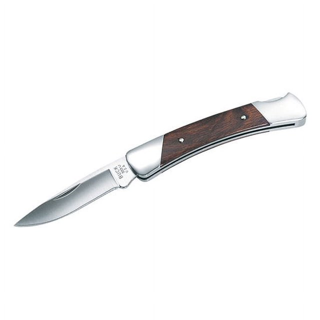 Buck 503 Prince Compact Everyday Carry, Small, Steel, Pocket Knife with ...