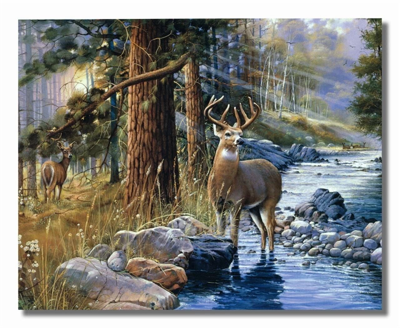 Buck Deer Big Antler Rack W Doe Standing In Water Wall Picture Art Home ...