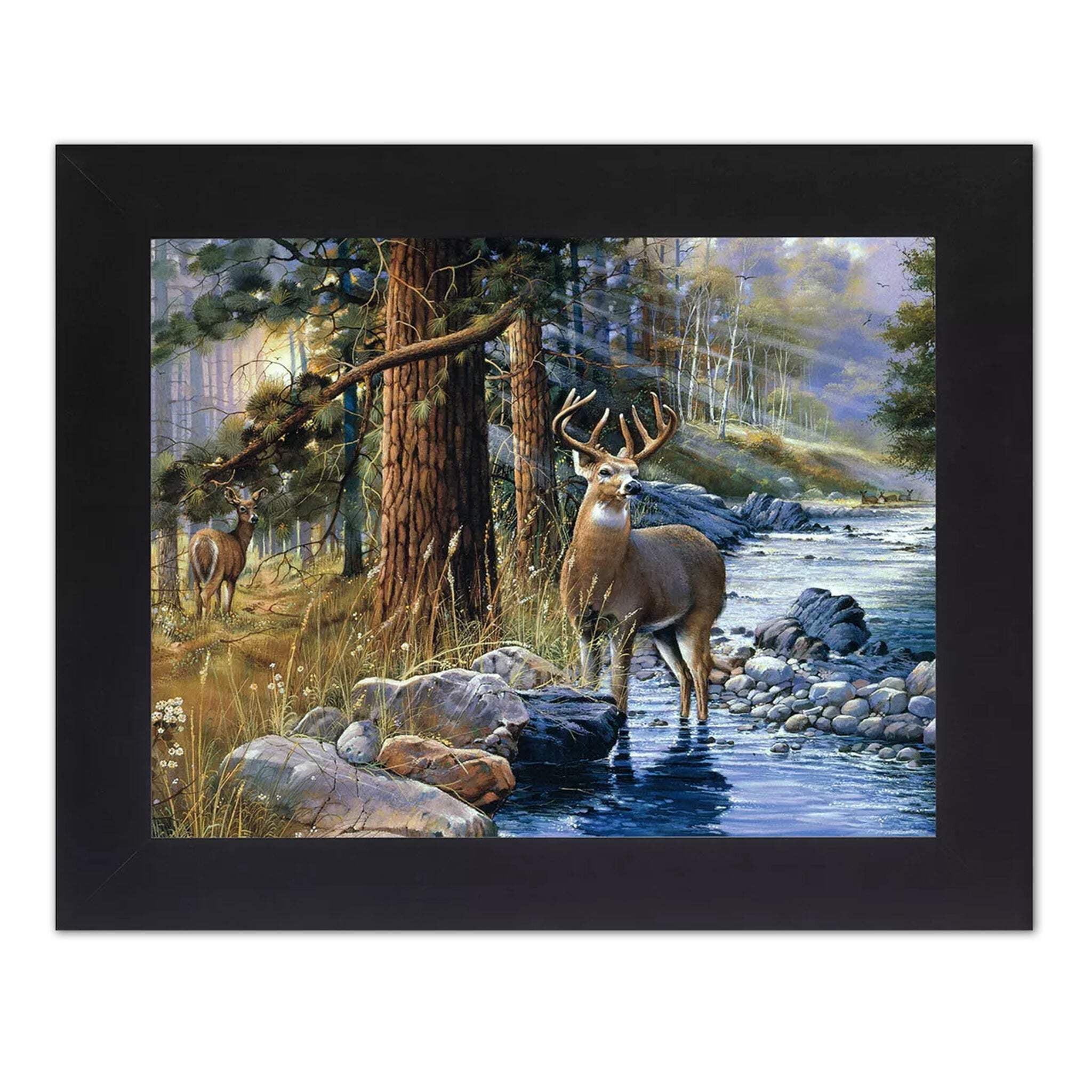 Buck Deer Big Antler Rack w/ Doe Standing in Water Wall Picture Black ...