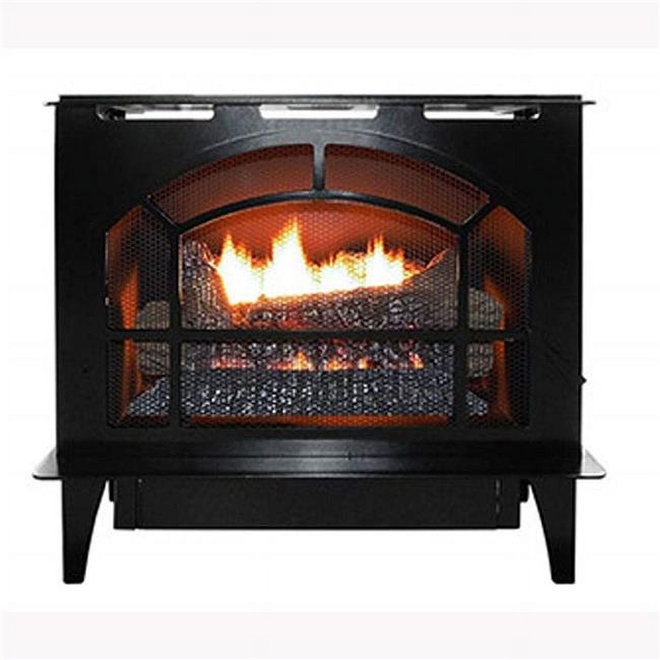 Buck Stove NV S-TOWNSEND VC-LP 26.5 in. Liquid Propane Townsend II ...