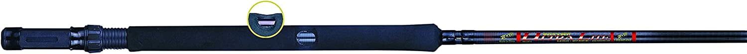 Buck's Best Ultra Lite Jig Pole 10ft/2pc - Walmart.com