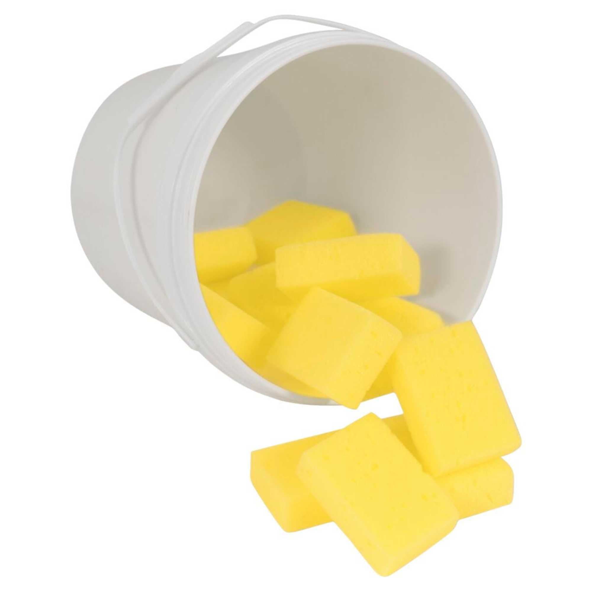 Bucket and Sponge Assortment, 2 x 3 x 1 Inches - Walmart.com
