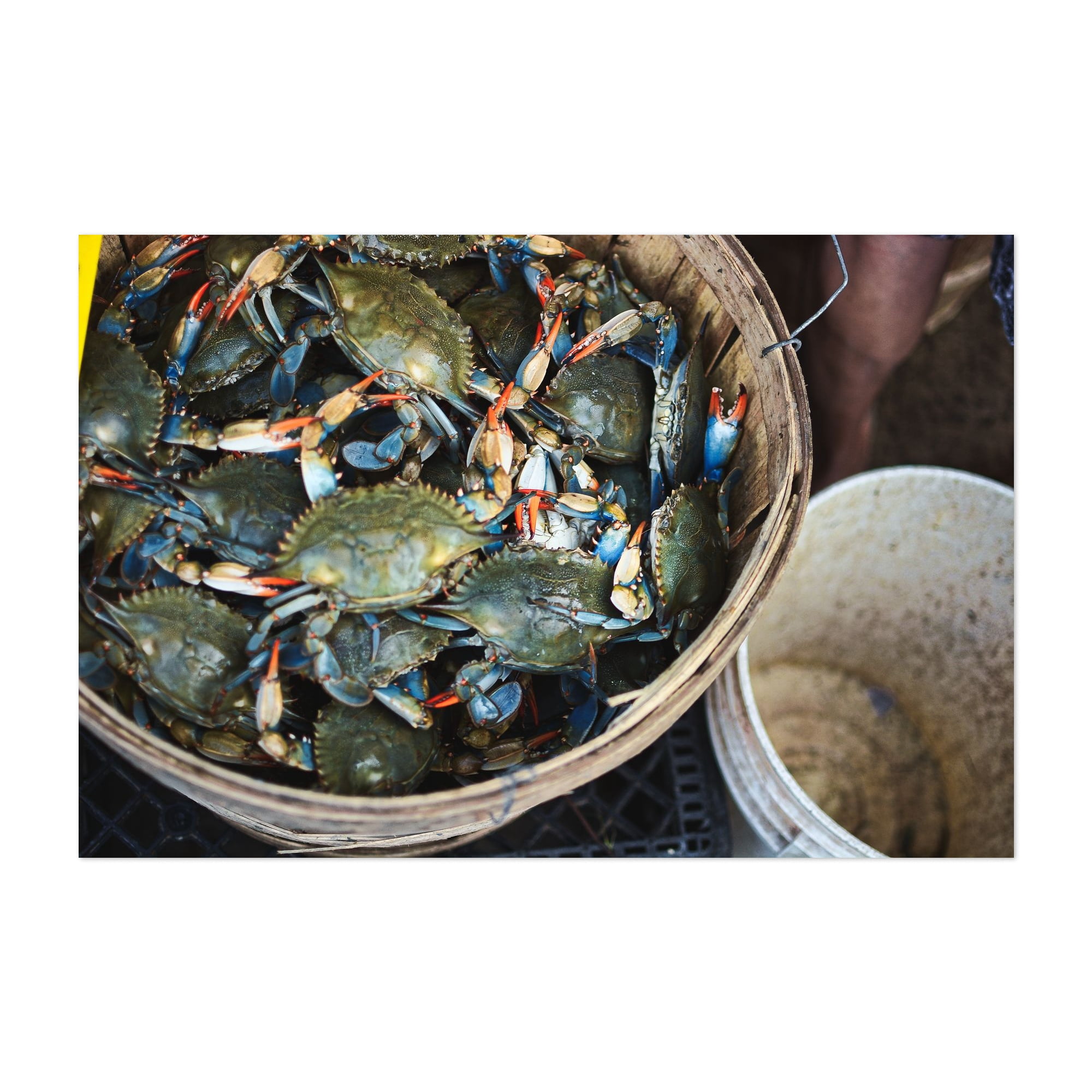 Bucket of Crabs - Manhattan New York Photography Fishing Unframed Wall ...
