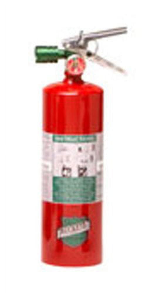 Buckeye 70251 Halotron Hand Held Fire Extinguisher with Aluminum Valve ...