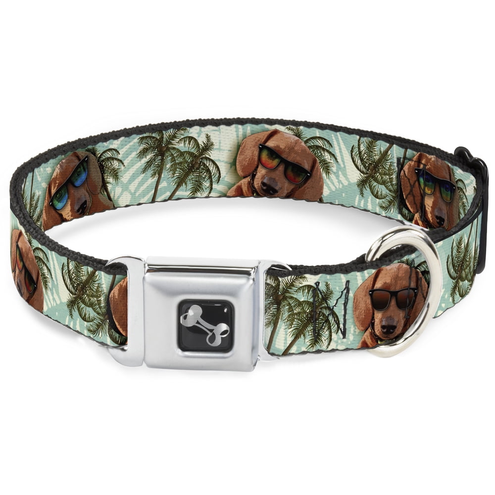 Buckle-Down Pet Collar, Dog Collar Metal Seatbelt Buckle, Dachshund In ...