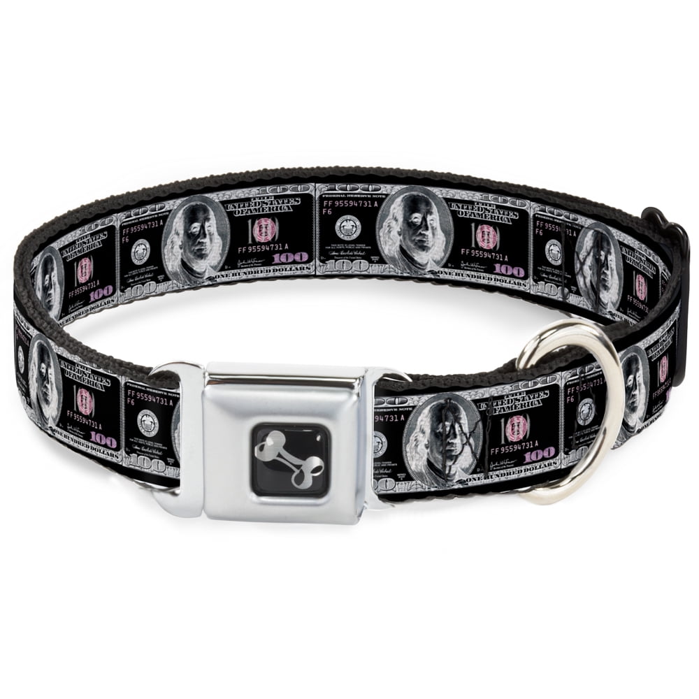 Buckle-Down Pet Collar, Dog Collar Metal Seatbelt Buckle, 100 Dollar ...