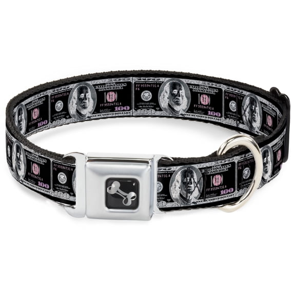 Buckle-Down Pet Collar, Dog Collar Metal Seatbelt Buckle, 100 Dollar ...
