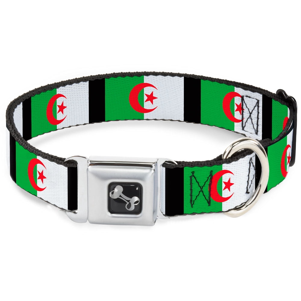 Buckle-Down Pet Collar, Dog Collar Metal Seatbelt Buckle, Algeria Flags ...