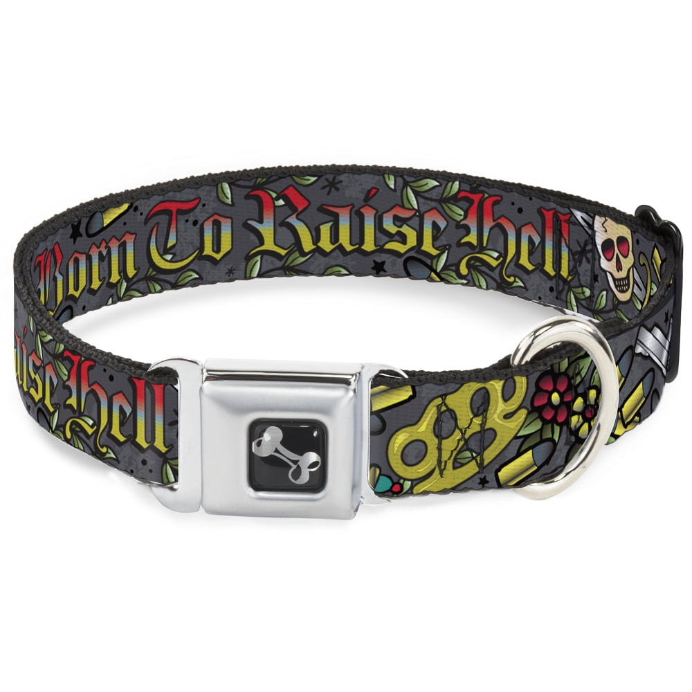 Buckle-Down Pet Collar, Dog Collar Metal Seatbelt Buckle, Born to Raise ...