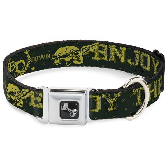 Buckle-Down Pet Collar, Dog Collar Metal Seatbelt Buckle, Buckle Down ...