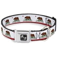 Buckle-Down Pet Collar, Dog Collar Metal Seatbelt Buckle, California ...