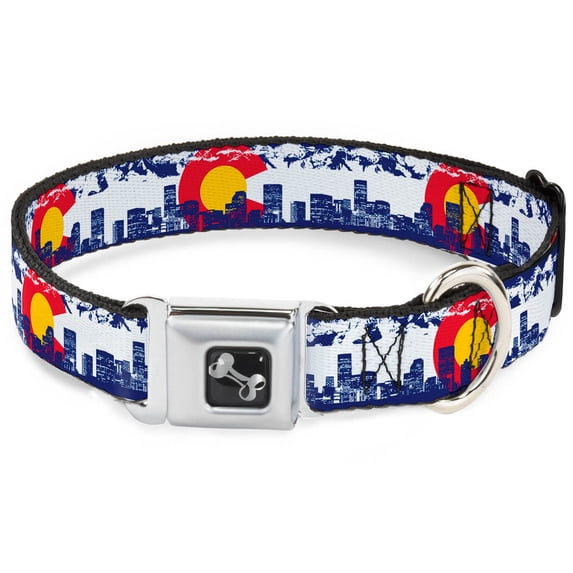 Buckle-Down Pet Collar, Dog Collar Metal Seatbelt Buckle, Colorado ...