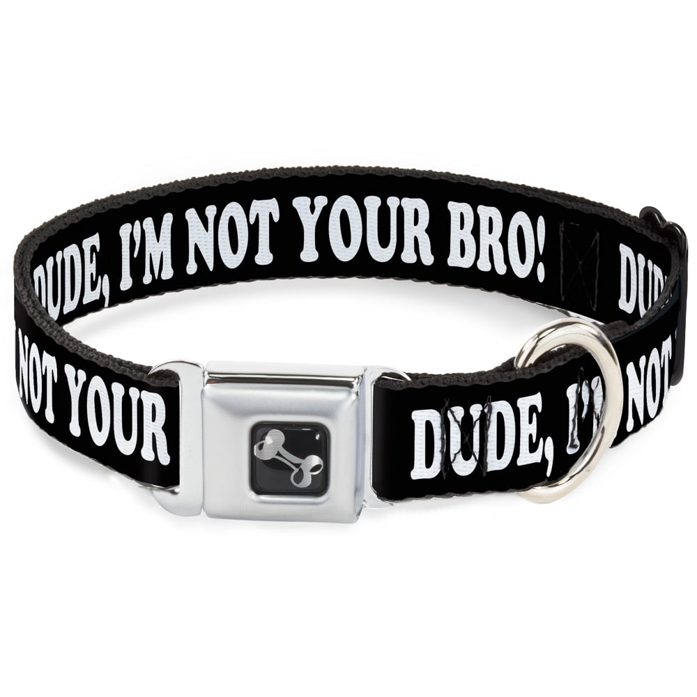 Buckle-Down Pet Collar, Dog Collar Metal Seatbelt Buckle, Dude Im Not ...