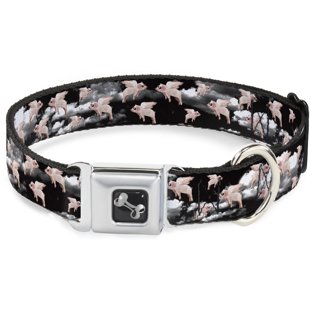 Buckle-Down Pet Collar, Dog Collar Metal Seatbelt Buckle, Flying Pigs ...