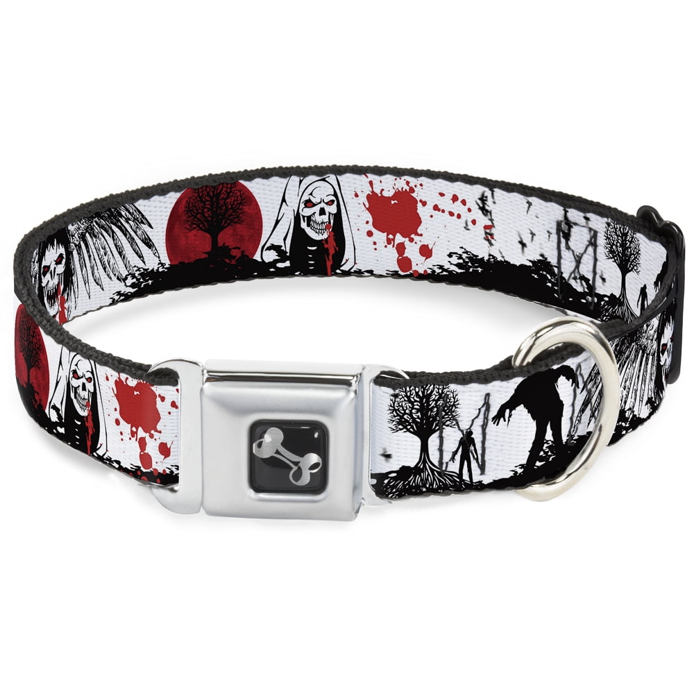 Buckle-Down Pet Collar, Dog Collar Metal Seatbelt Buckle, Fright Night ...
