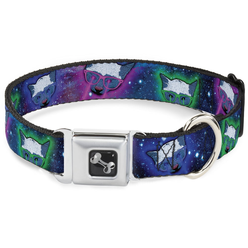 Buckle-Down Pet Collar, Dog Collar Metal Seatbelt Buckle, Laser Eye ...