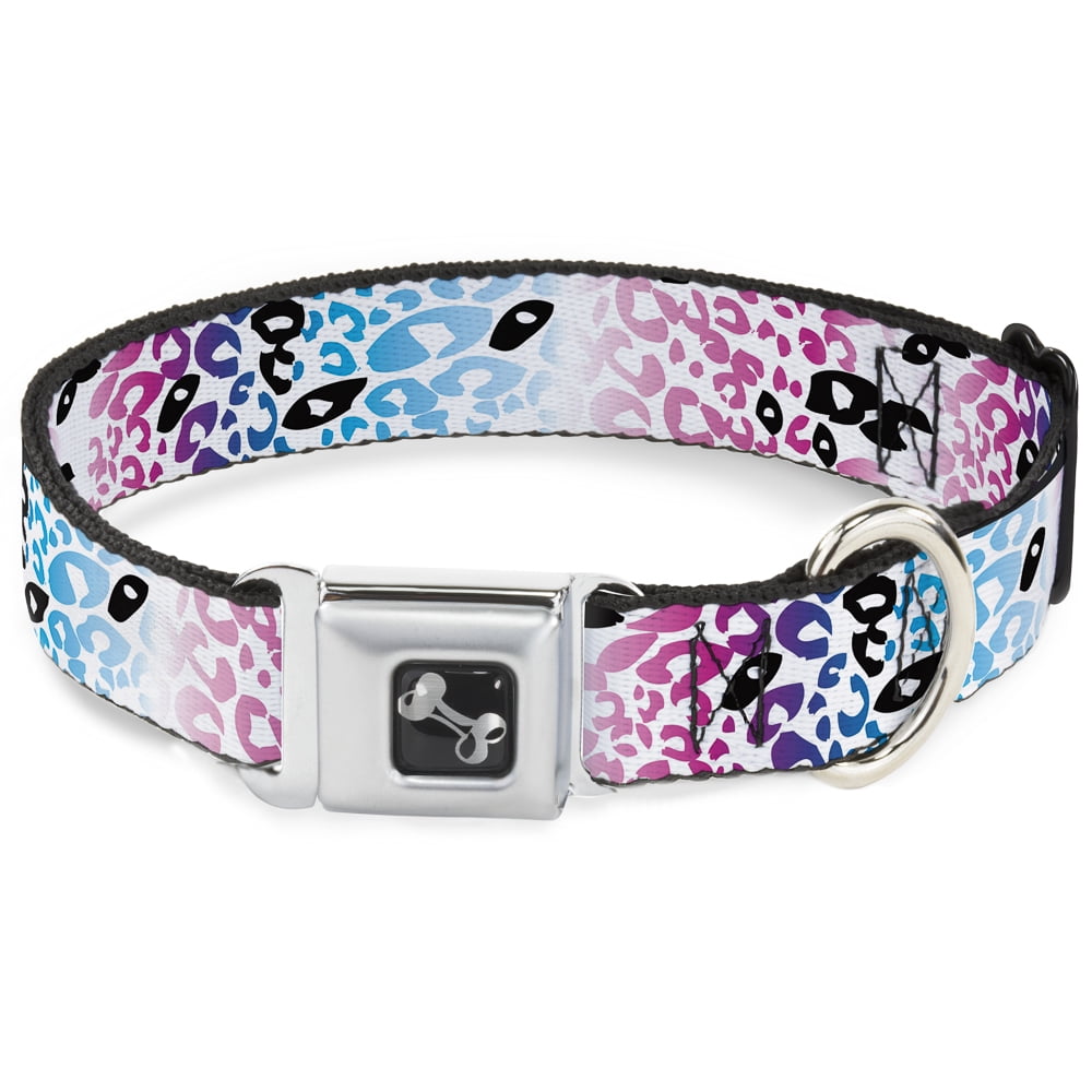 Buckle-Down Pet Collar, Dog Collar Metal Seatbelt Buckle, Leopard White ...