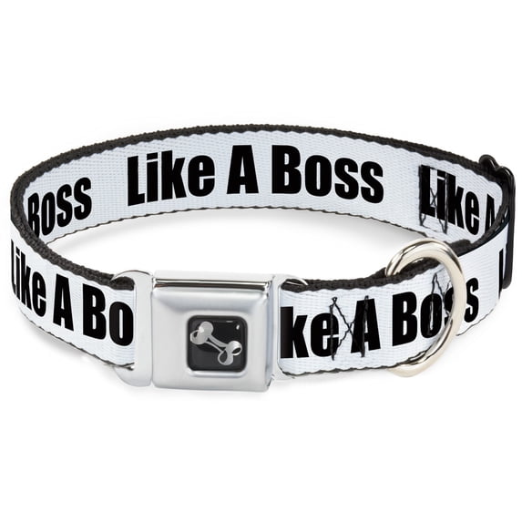 Buckle-Down Pet Collar, Dog Collar Metal Seatbelt Buckle, Like A Boss ...