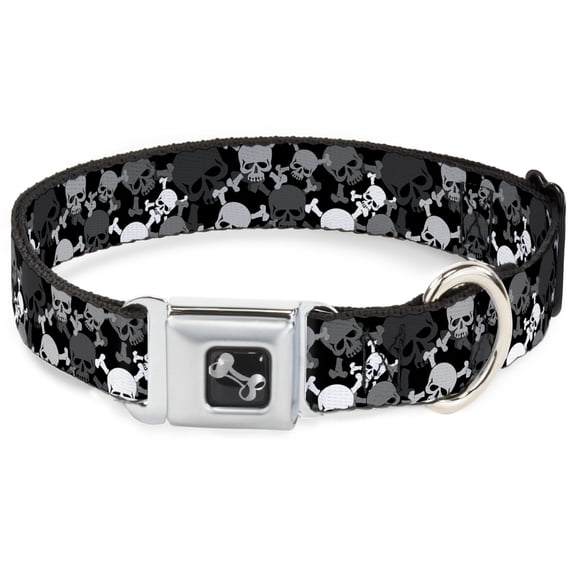 Buckle-Down Pet Collar, Dog Collar Metal Seatbelt Buckle, Multi Top ...