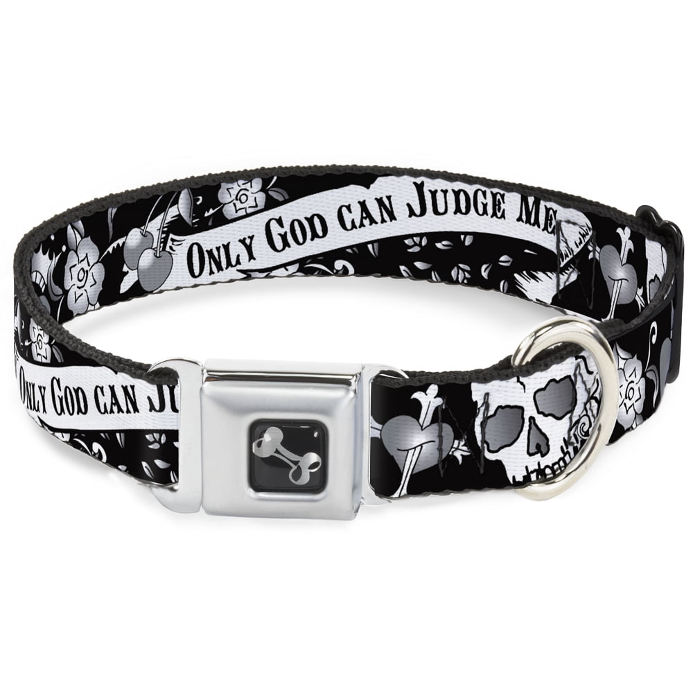 Buckle-Down Pet Collar, Dog Collar Metal Seatbelt Buckle, Only God Can ...