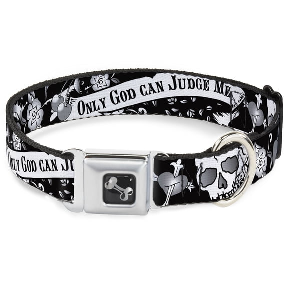 Buckle-Down Pet Collar, Dog Collar Metal Seatbelt Buckle, Only God Can ...