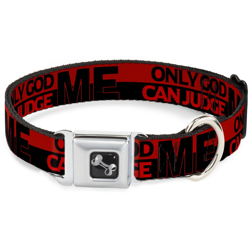 Buckle-Down Pet Collar, Dog Collar Metal Seatbelt Buckle, Only God Can ...