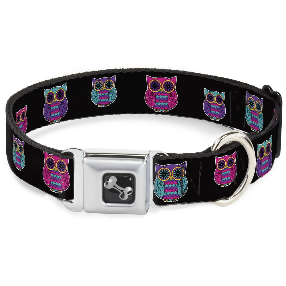 Buckle-Down Pet Collar, Dog Collar Metal Seatbelt Buckle, Owls Black Fuchsia Purple Turquoise ...