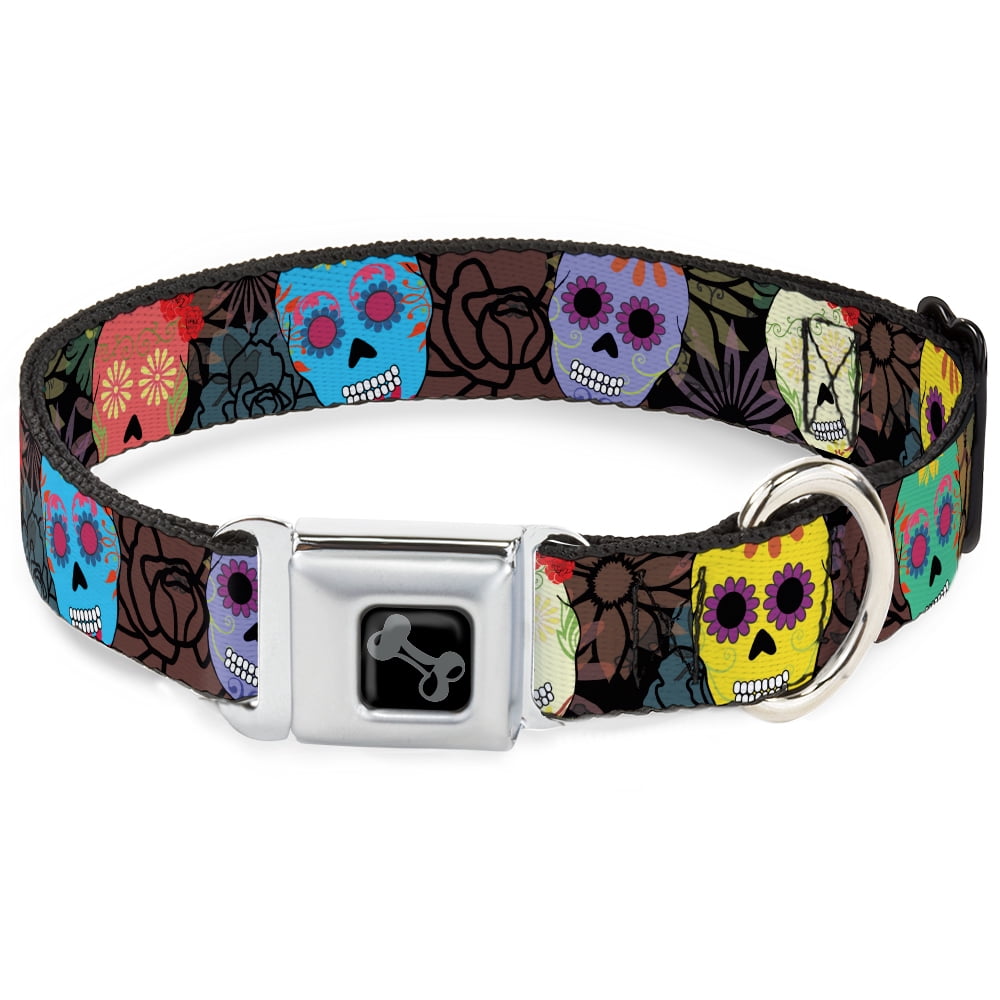 Buckle-Down Pet Collar, Dog Collar Metal Seatbelt Buckle, Painted Sugar ...