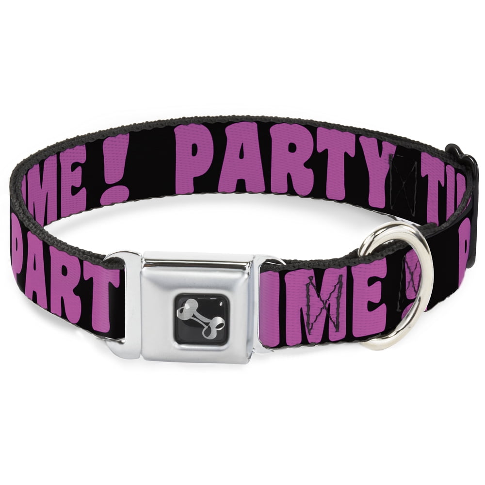 Buckle-Down Pet Collar, Dog Collar Metal Seatbelt Buckle, Party Time ...