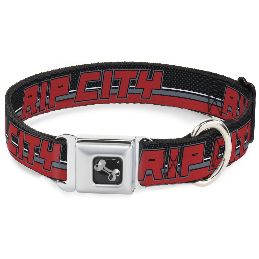 Buckle-Down Pet Collar, Dog Collar Metal Seatbelt Buckle, Rip City ...