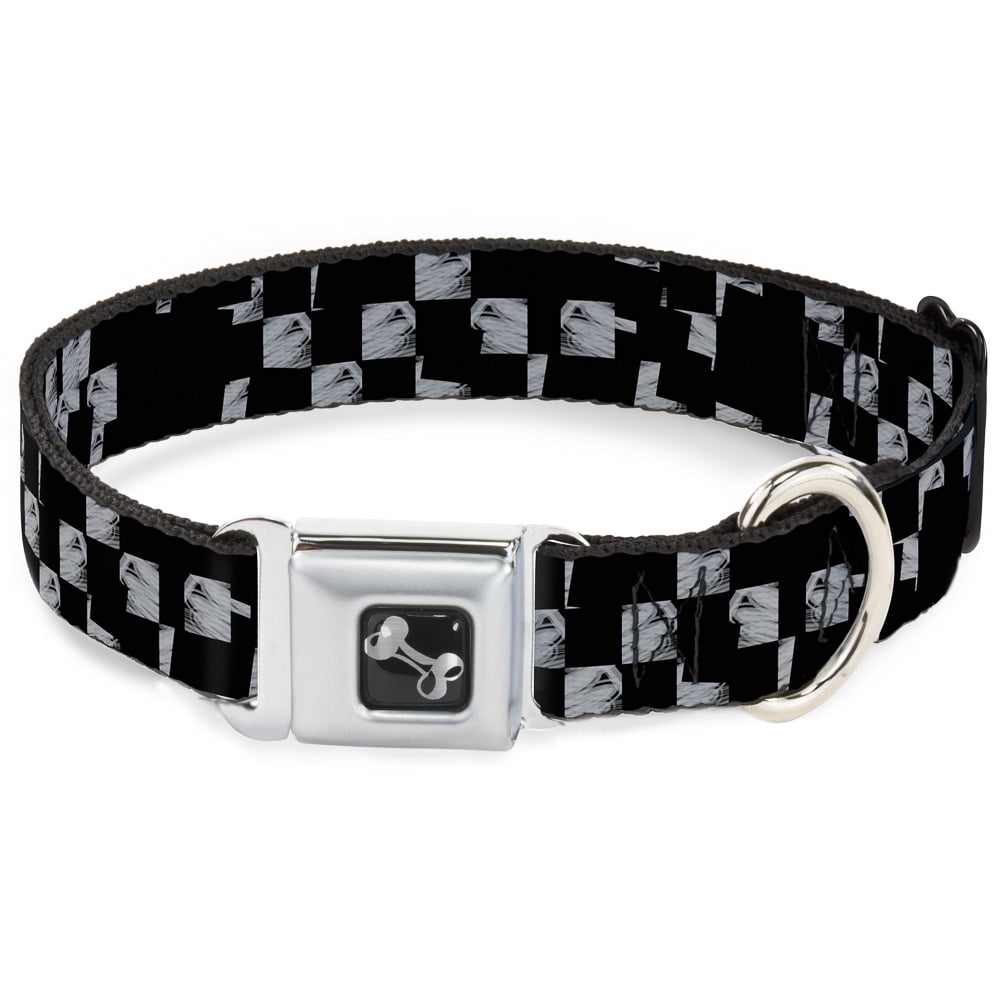 Buckle-Down Pet Collar, Dog Collar Metal Seatbelt Buckle, Scribble ...