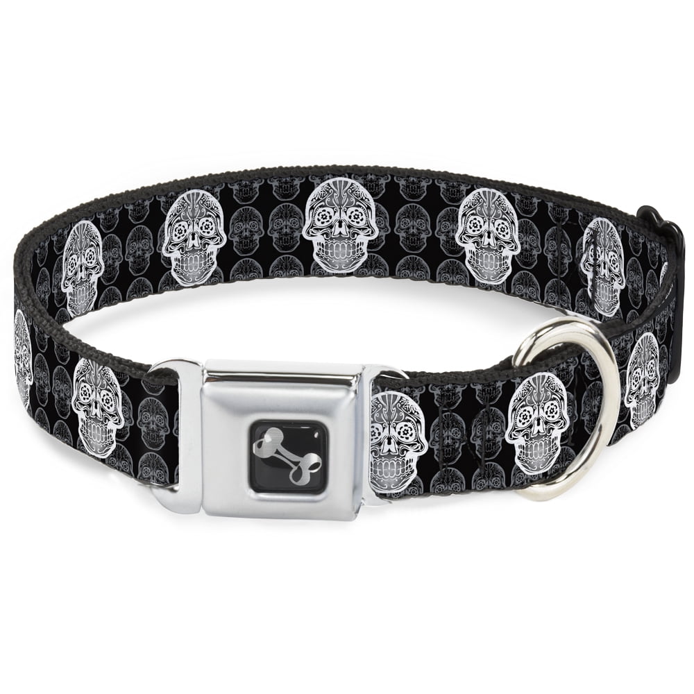 Buckle-Down Pet Collar, Dog Collar Metal Seatbelt Buckle, Skull Candy ...