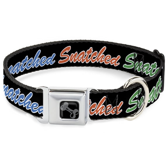 Buckle-Down Pet Collar, Dog Collar Metal Seatbelt Buckle, Snatched ...