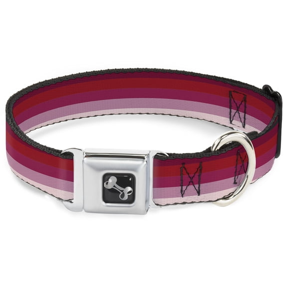 Buckle-Down Pet Collar, Dog Collar Metal Seatbelt Buckle, Spectrum Pink ...