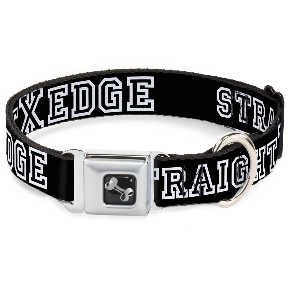 Buckle-Down Pet Collar, Dog Collar Metal Seatbelt Buckle, Straight Edge ...