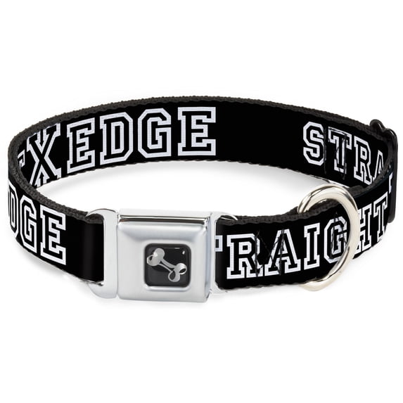 Buckle-Down Pet Collar, Dog Collar Metal Seatbelt Buckle, Straight Edge ...